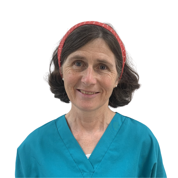 Terenure Medical | Centric Health